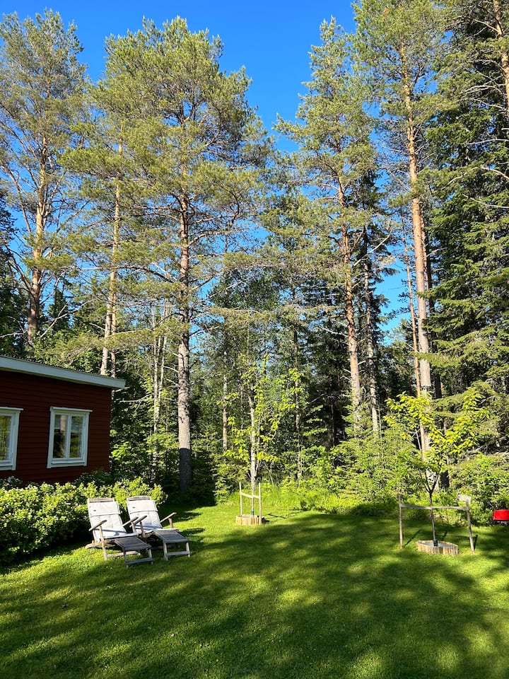 Stuga I Skogen Ett Stenkast Från Havet - Holmsund