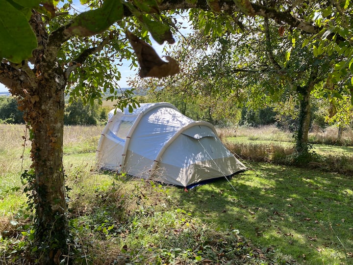 The Oak @Finders Keepers France. Adults Only - Condom