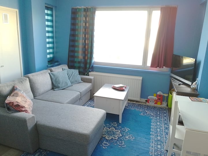 Kaksio Sinilila - Pieksämäki