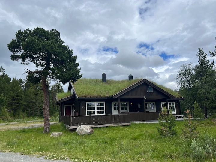 Hytte På Lemonsjøen - Norway