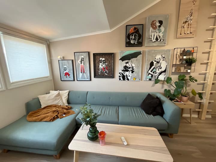 Apartment With Bedroom And Two Lofts, Central Oslo - Oslo