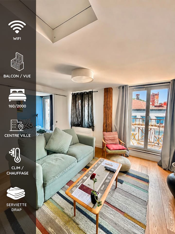 Superb, Air Conditioning, View Of Fourvière - Lyon