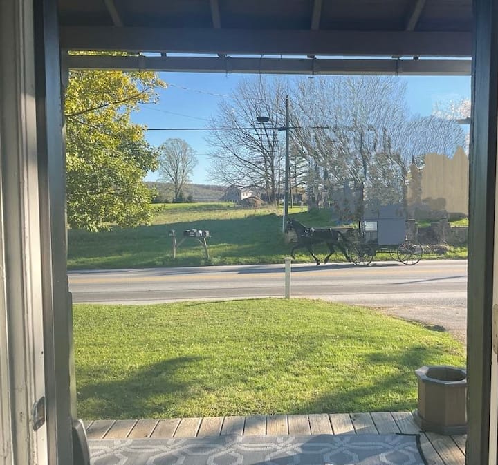 Amish Stay / Free Buggy Rides/fire Pit/4br - Morgantown, PA