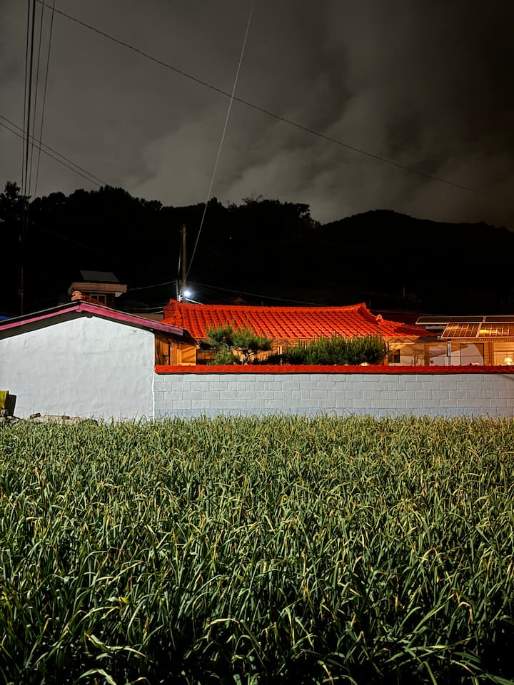 [월오포레스트] #촌캉스  #시골뷰 #미니텃밭 #시골강아지#자전거 - Daejeon