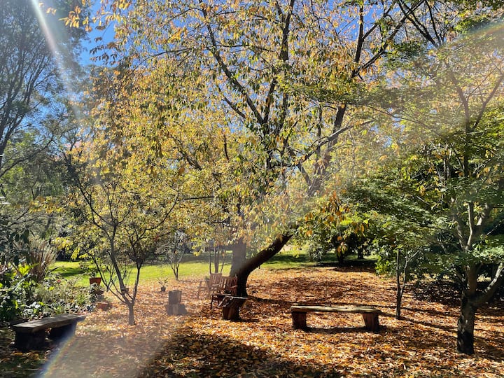 Couples @ Treetops Chalet - Katoomba