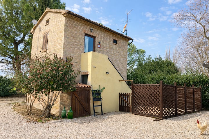 Loft Cemani Fattoria Coppetella - Jesi