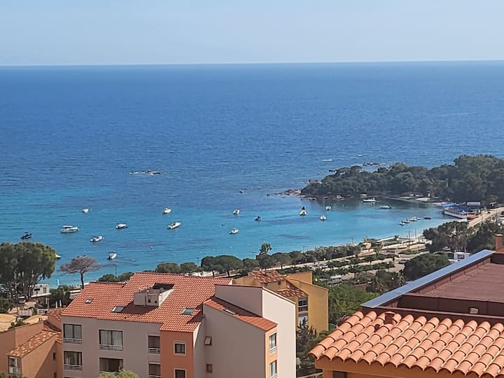 Appart T2 Vue Panoramique Sur  Les Sanguinaires - Ajaccio