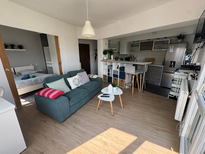 T1 Centre Ville Vue Panoramique - La Roche-sur-Yon