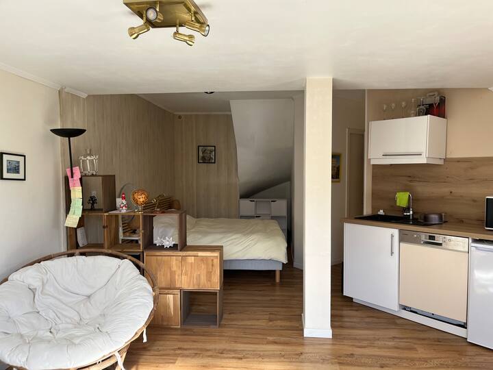 Appt Jardin, Piscine, Accès Lac - Le Bourget-du-Lac