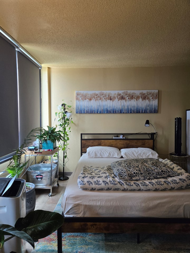 Studio W/ Tesla Option, Bike In Unit, Gym & Sauna - Tulsa, OK