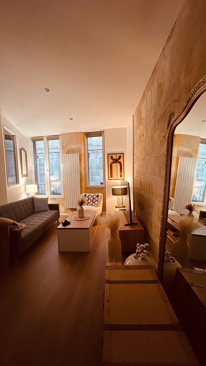 T2 Centre Historique Bordeaux - Bordeaux