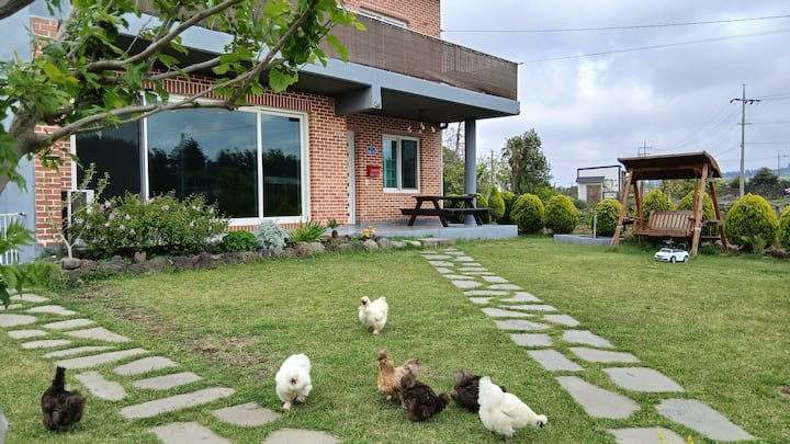 곽지해수욕장, 한담산책로 인근 귤밭뷰와 함께하는 "별스런 산책" - Jeju-si