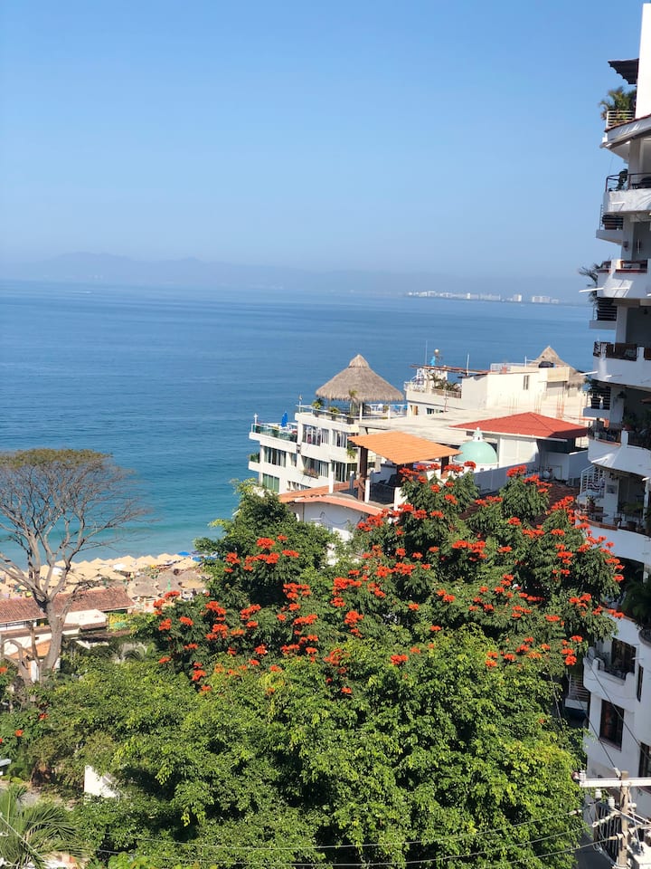 Zona Romantica, Beautiful, 2bd, 3 Bath Condo - Puerto Vallarta