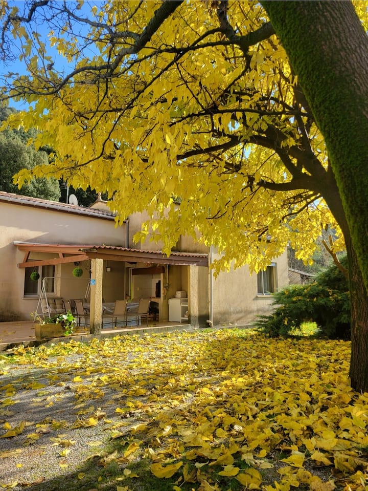Villa La Demoiselle - Saint-Pons-de-Thomières
