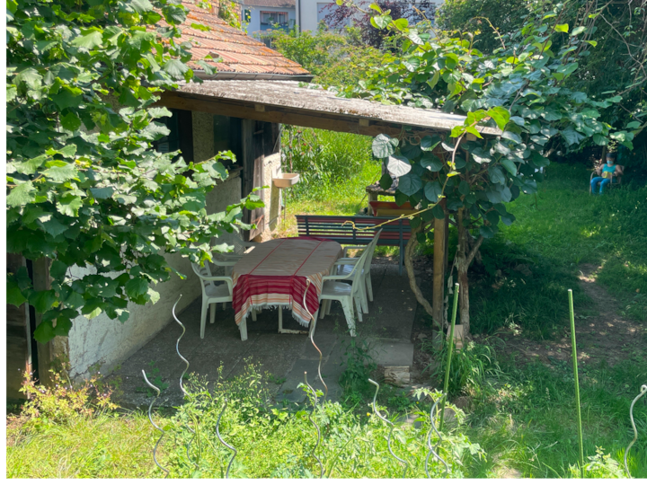 Oasis Avec Jardin | Cuisine éQuipée & Fibre - Canton de Bâle-Campagne