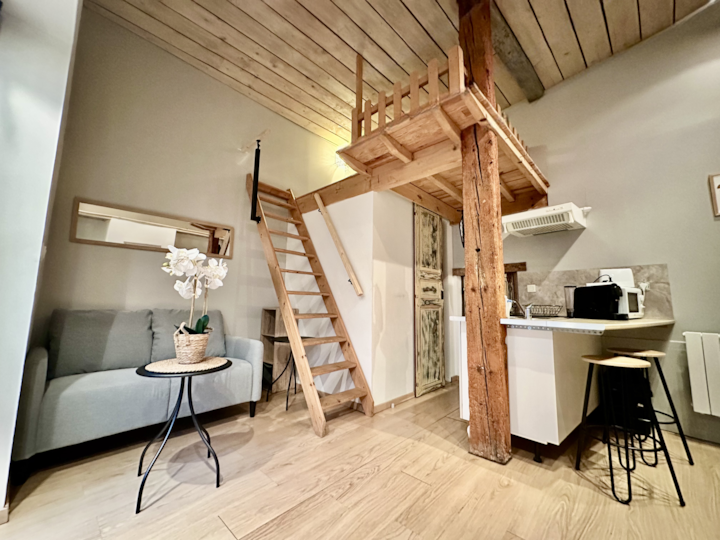 Agréable Studio Plein Centre - Saint-Gaudens