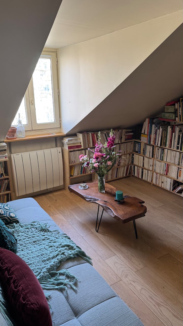 Charmant Appartement 30m2 - 19e - Francia