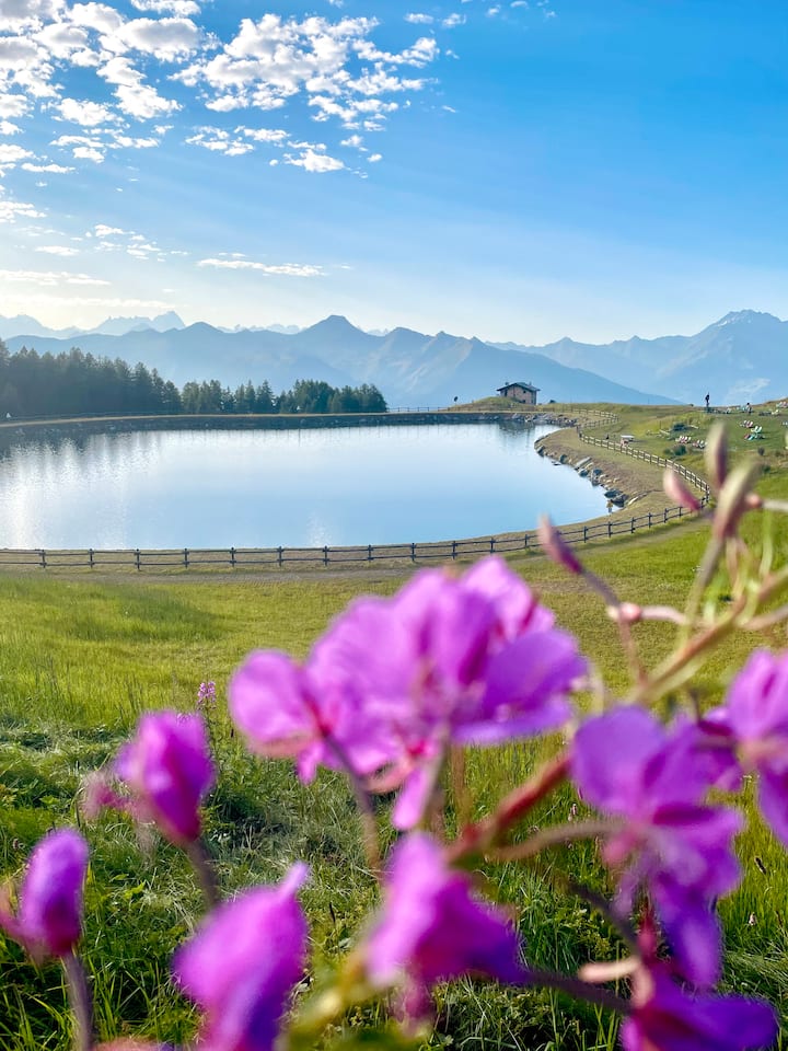 Alpinedreamhouse- Panoramic View: Lake & Montblanc - Cogne
