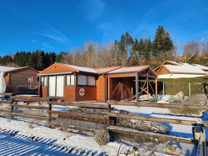 Chalet En Lisière De Forêt - Corcieux