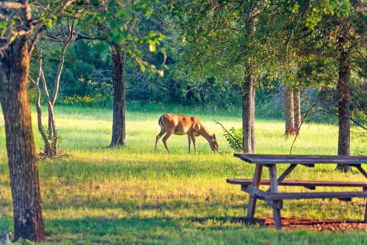 2br Texas Countryside Home! - Marble Falls, TX