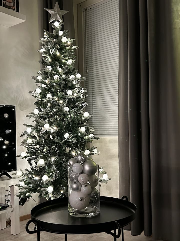 Homenest With Sauna And Free/warm Garage - Rovaniemi