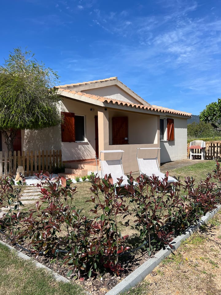 La Collina: L'alba - Castiadas