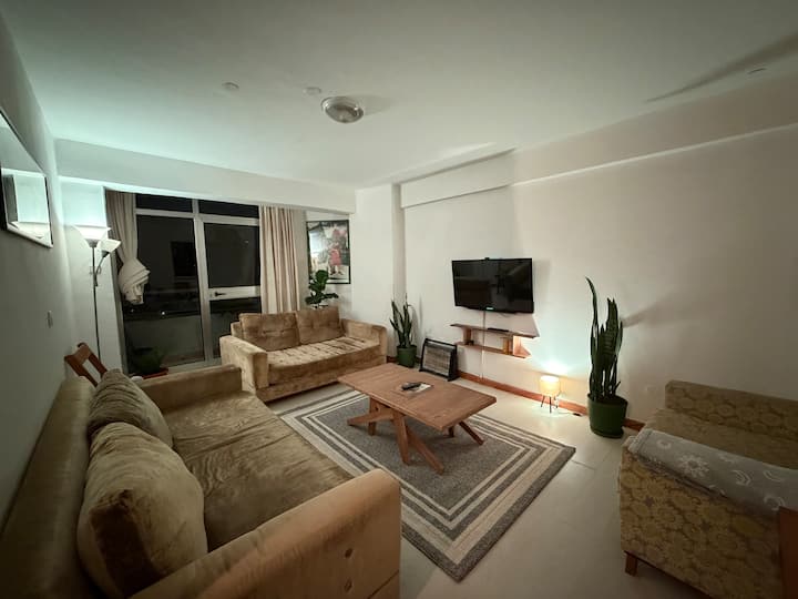 Comfortable City Apartment - Addis Ababa