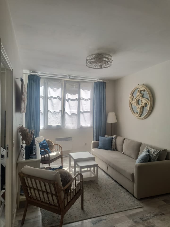 Charming Apartment In The Historic Center Of Dinan - Dinan
