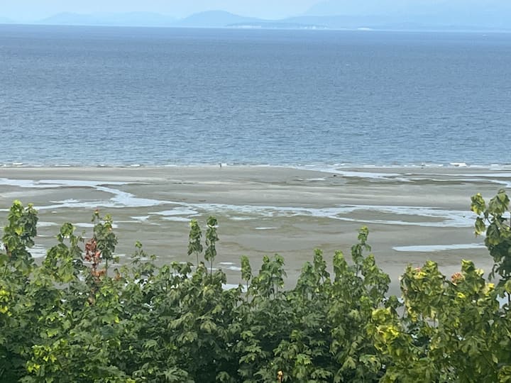 Sea Breeze: Panoramic Ocean Views With A/c - Nanaimo