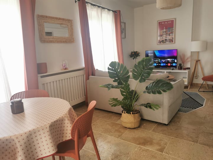 Le Teddy «&nbsp;Pink&nbsp;», Climatisé, Rénové à Neuf - Carcassonne