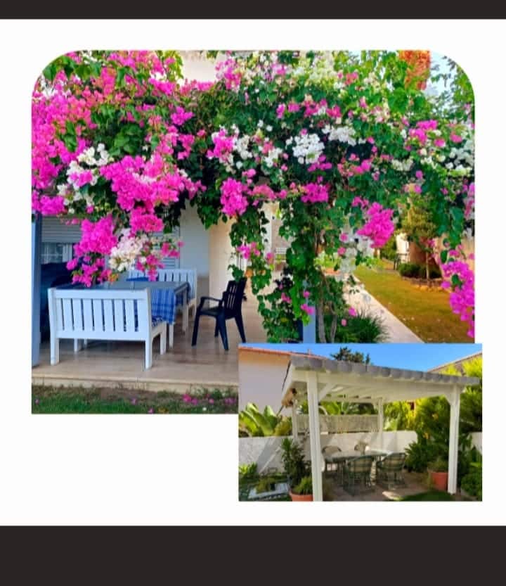 ÇEşme Ilica 4+1 Eşyalı Bahçeli - Alaçatı