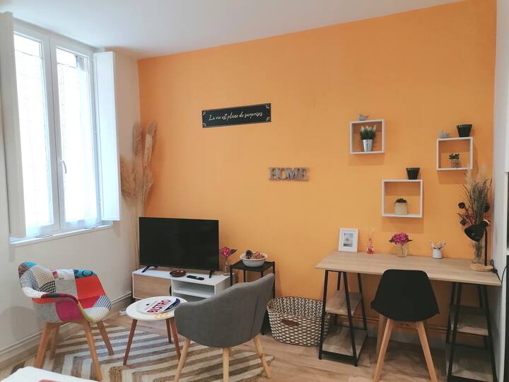 Studio Rénové 26 M2 Centre Historique - Rodez