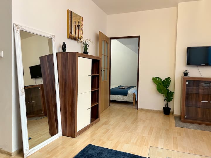 Adm Spacious Apartment In Center- Wifi, Coffee,ac - Bratislava