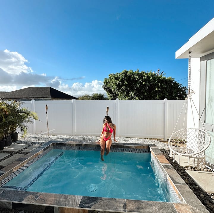 Searenity Cove Starfish - Aguada