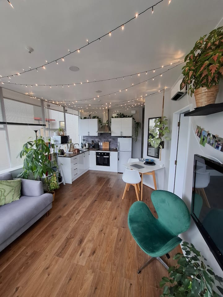 Room In Bright, Clean City Apartment With Views - Wellington