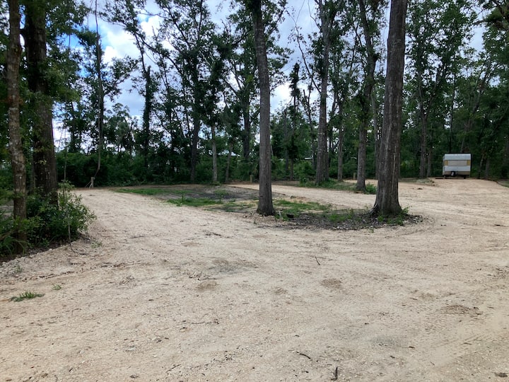 Quiet Rv / Travel Trailer Campsite | Full Hookups - Steinhatchee, FL