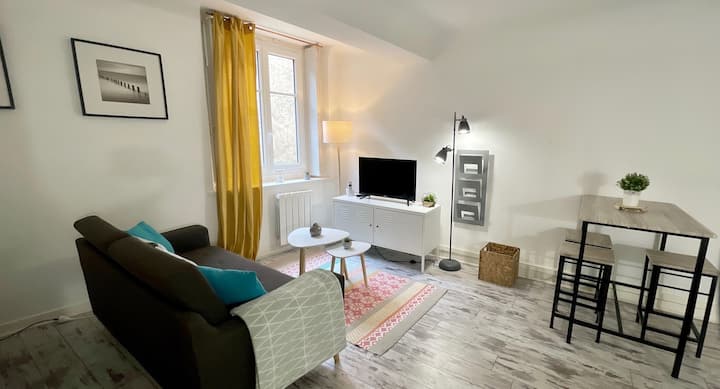 Joli Studio 38m Carrés - Bayonne