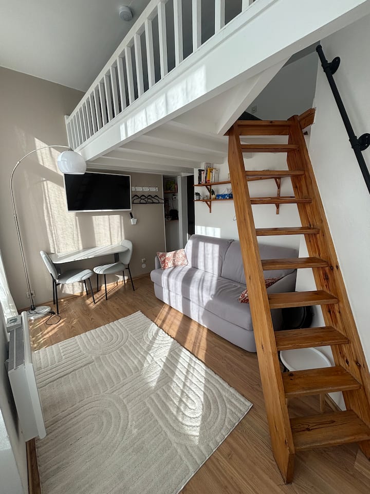 Chambre Privée En Face De La Gare Lille Flandres - Marcq-en-Barœul