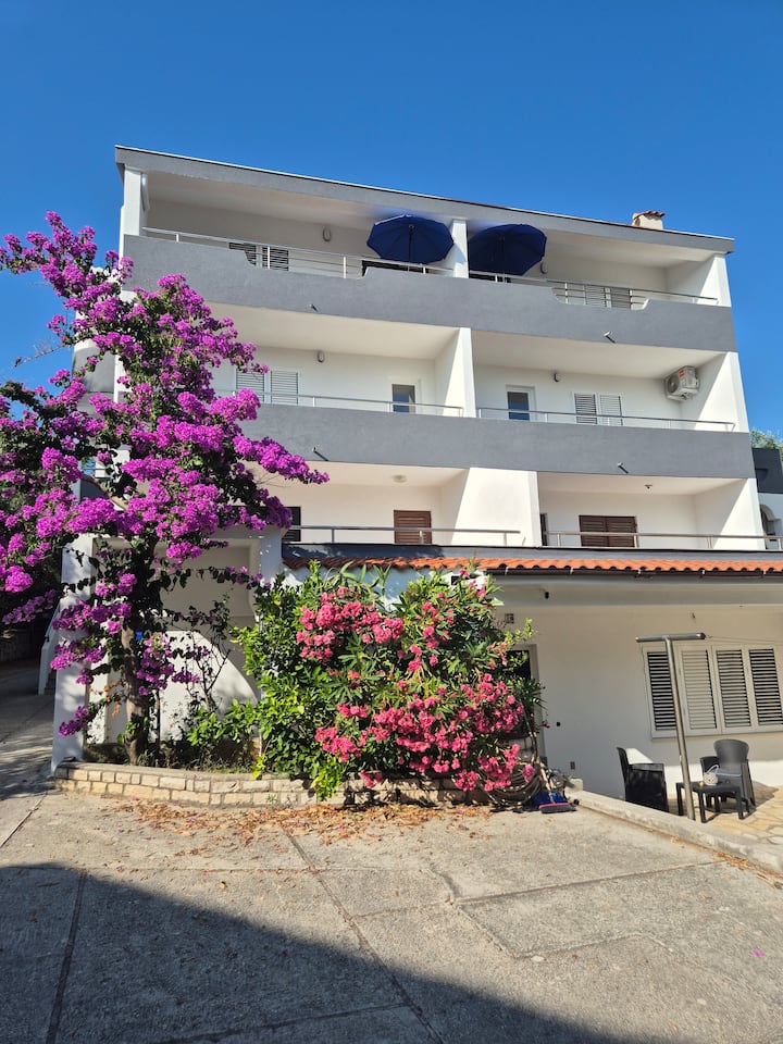 Apartment In Novalja   2 Sokola (Apt. 3) - Novalja