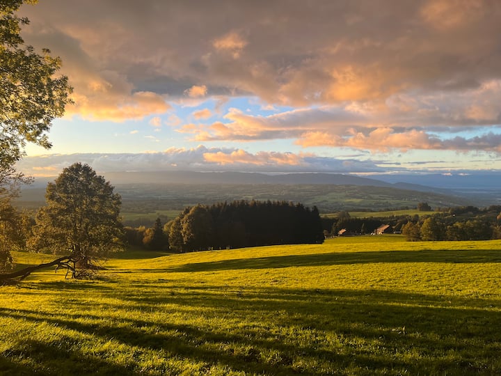 Maison Des Cheneviers - Bonneville