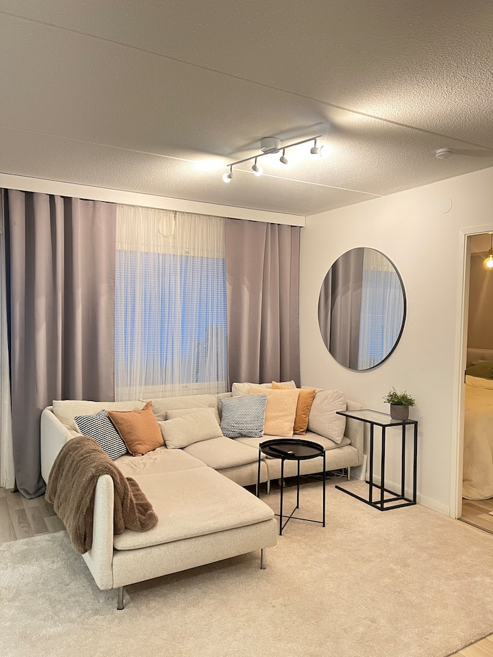 Viihtyisä Ilmastoitu Kaksio Lähellä Keskustaa - 土庫