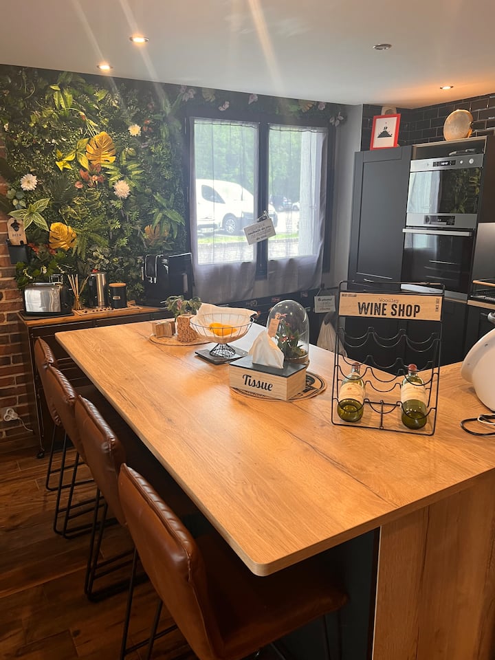 Grand Appartement Avec Jardin Entre Les Deux Lacs - Rumilly