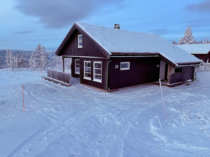 Moutain Cabin, Lake, Fishing, Hiking, Cycle, Sunny - Norway