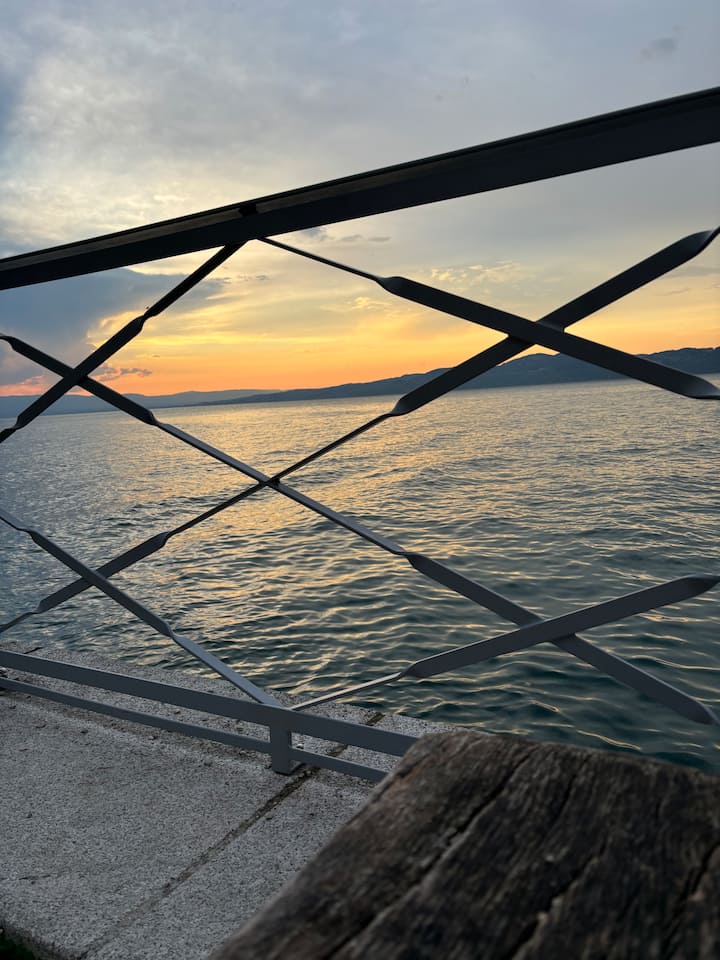 Idéal Pour Frontalier Des Le Début Janvier - Vevey