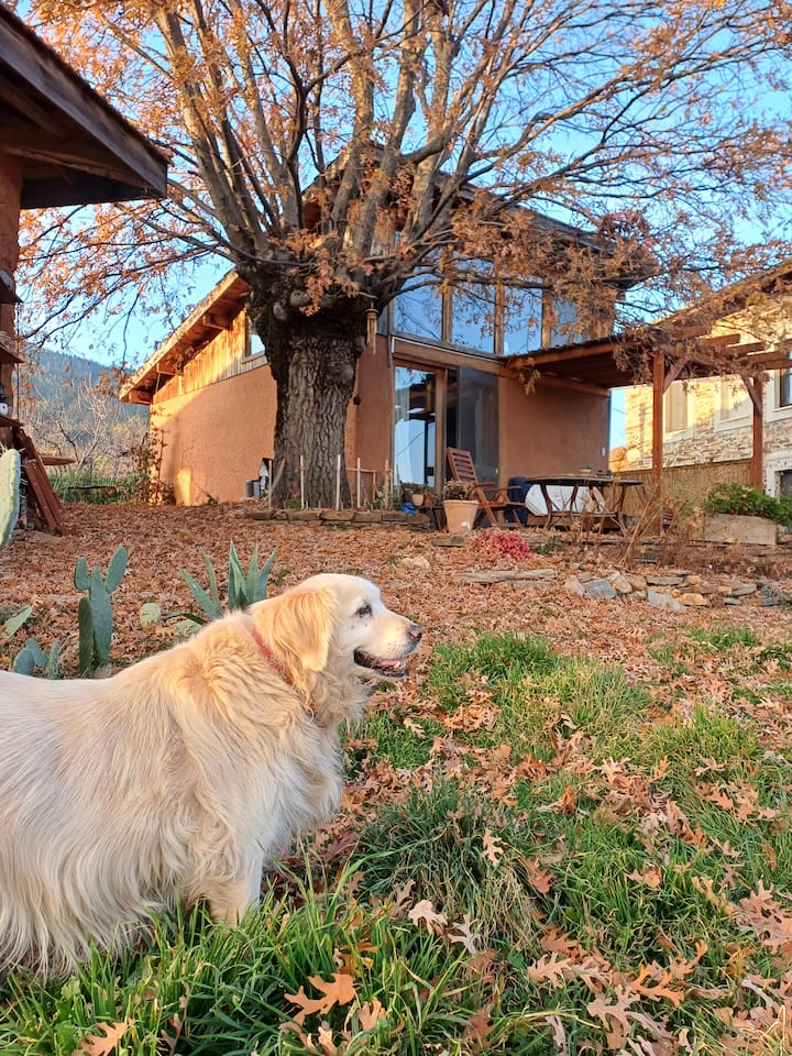 Marmaric Guesthouse–cabin In The Woods-bbq&smarttv - Bayındır