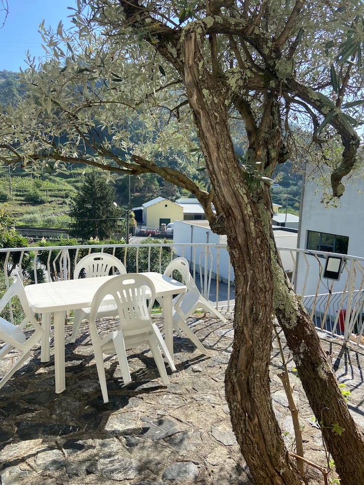 Appartamento Bouganville: Citra: 011017-lt-0910 - Levanto