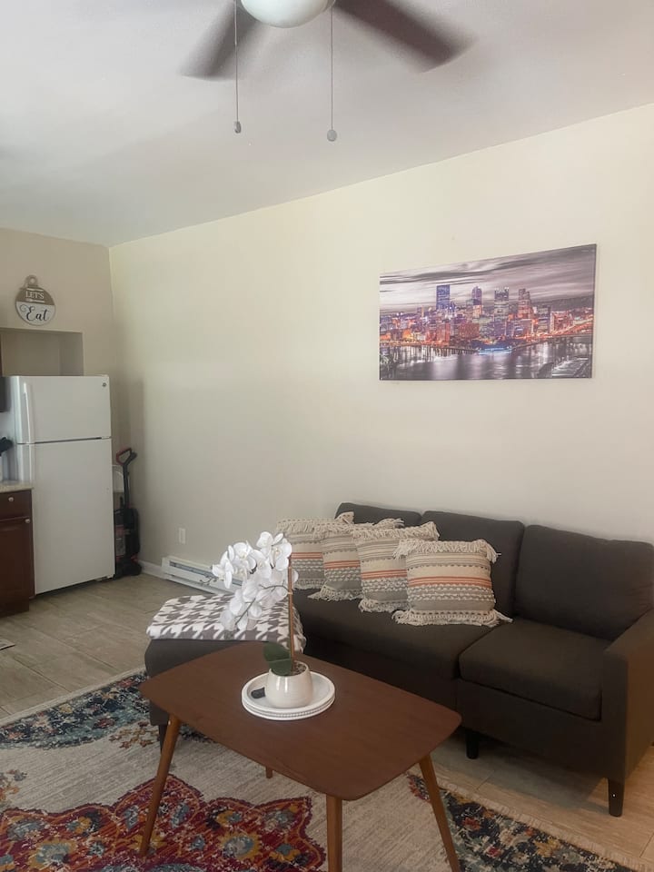 Urban Oasis Historic Deutschtown Loft 1 Br. - Pittsburgh