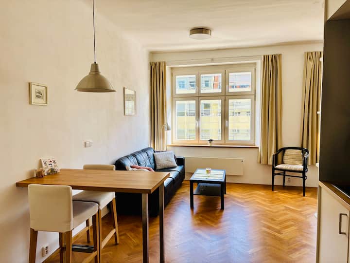 Beautiful Minimalist City Studio - Praga