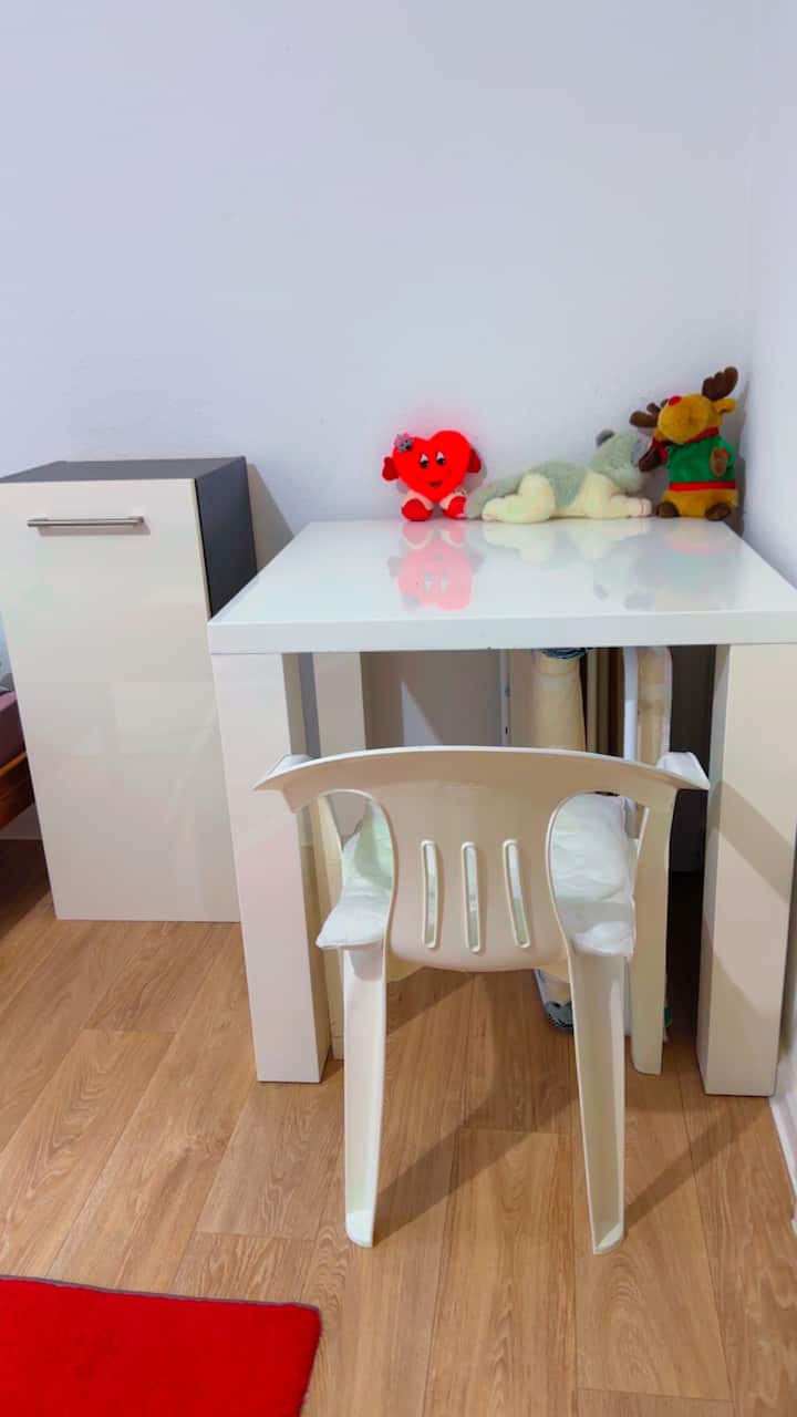 Stein Straße 5, 01069 Dresden - Dresden