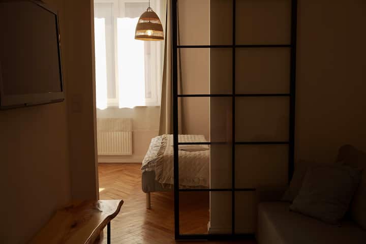 Charming Apartment In Perfect Location - Krakova